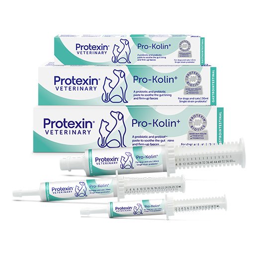 Pro-Kolin+ - Products - Protexin Vet