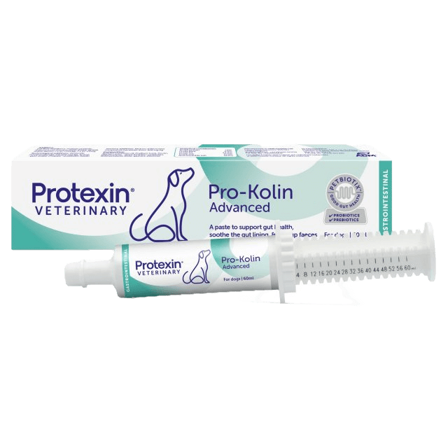 Probiotics & Gut Health Supplements For Dogs And Cats - Protexin Veterinary