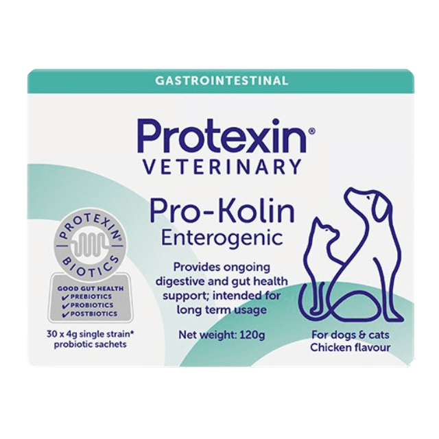 Natural Health Supplements For Dogs: Gut, Skin Care & Joints - Protexin ...