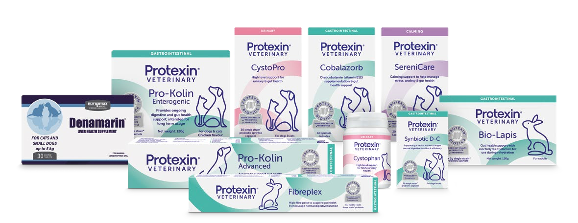 Pro-Kolin+ Probiotic for Dogs & Cats - Protexin Veterinary Australia